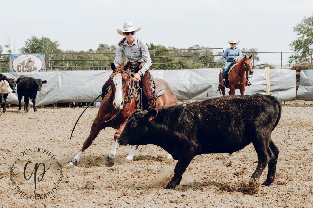 GALLERIES – Countrified Photography