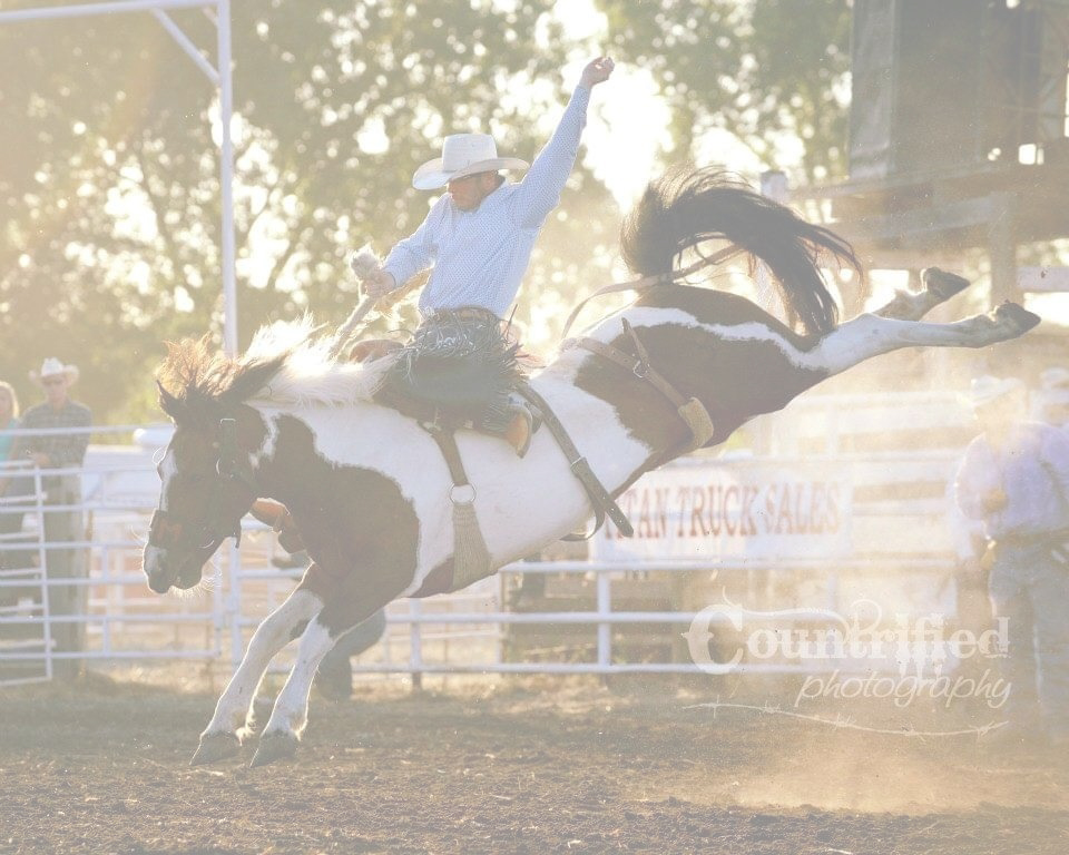 GALLERIES – Countrified Photography